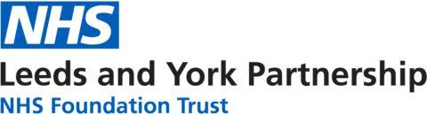 Insight Programme | The Insight Programme